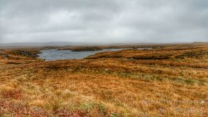 Iconic Ireland Landscapes and Where to Find Them