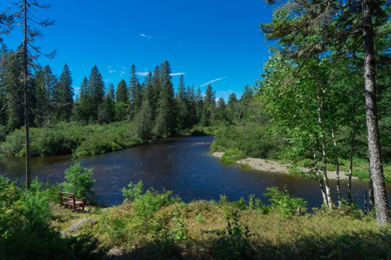 Escape the City for Cabins in Maine and Take a Wilderness Break