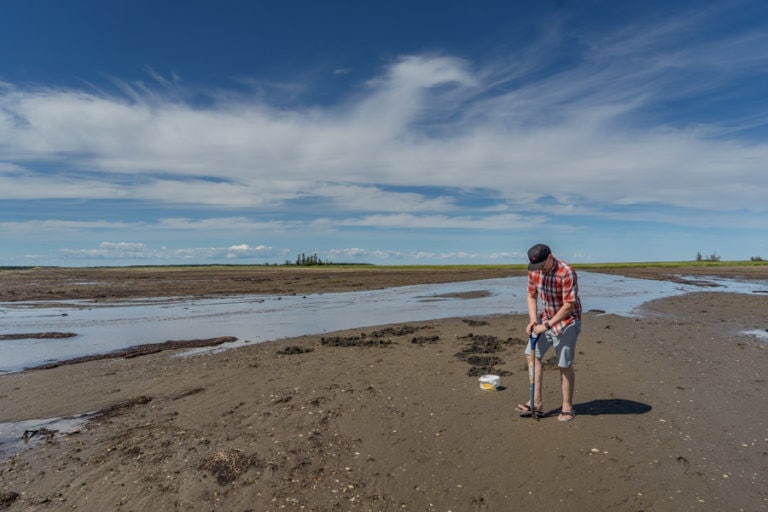 Tour the Acadian Peninsula: Best Things To Do in New Brunswick