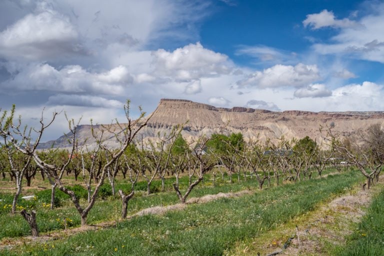 Outdoor Things To Do in Grand Junction CO