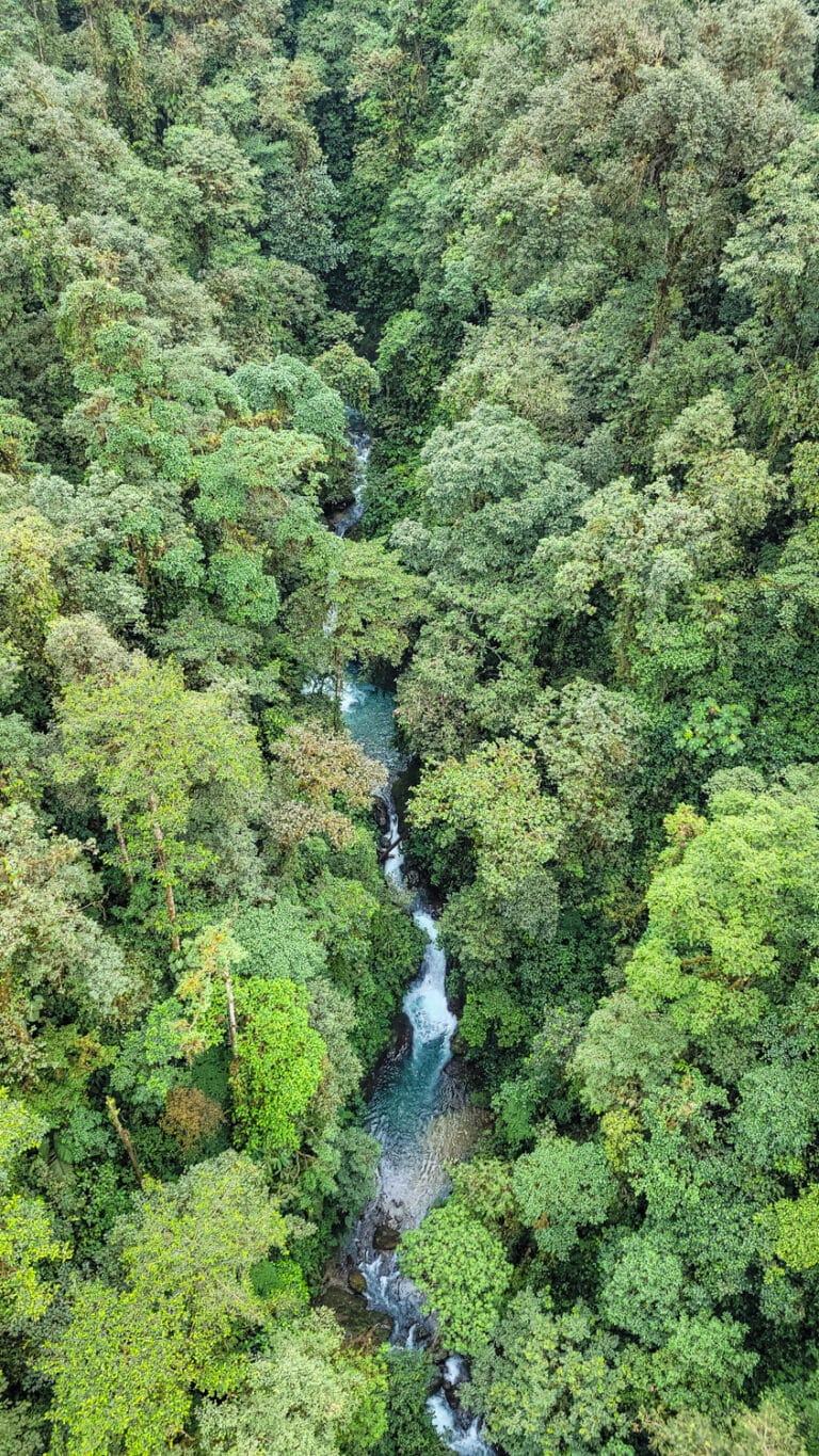 Mashpi Lodge - Ecuador's Premier Lodge Changing Lives and the Planet