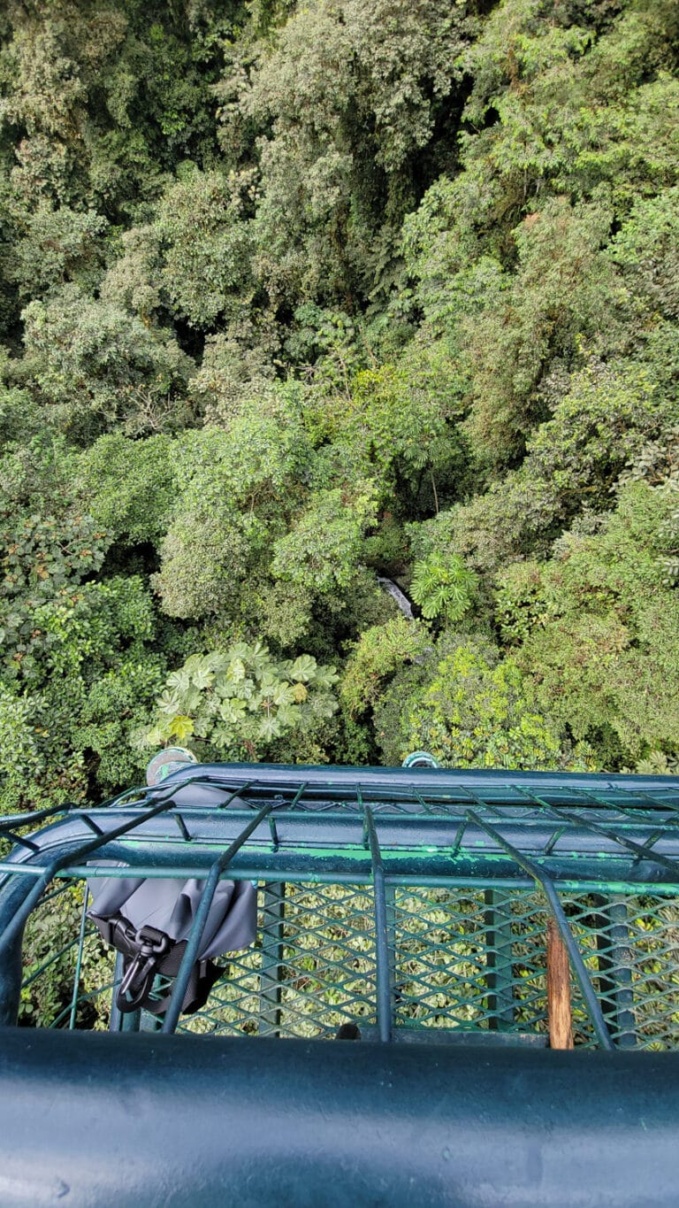Mashpi Lodge - Ecuador's Premier Lodge Changing Lives and the Planet