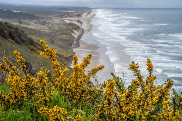 Northern California Oregon Road Trip Filled with Adventures